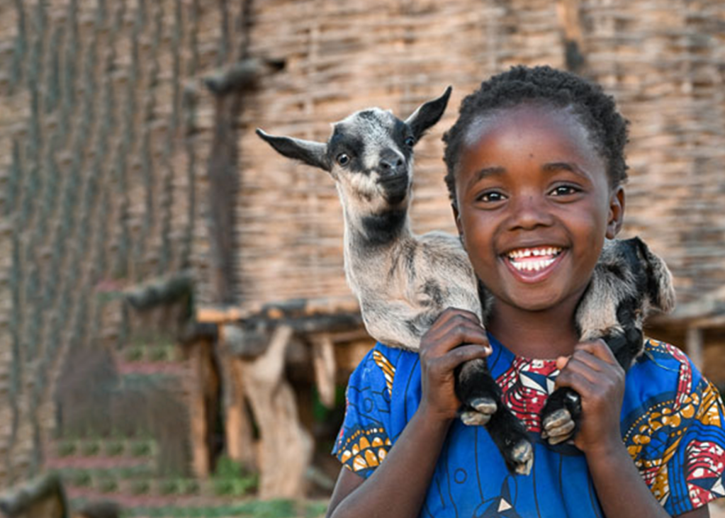 Charitable Giving: World Vision | GoodSuite