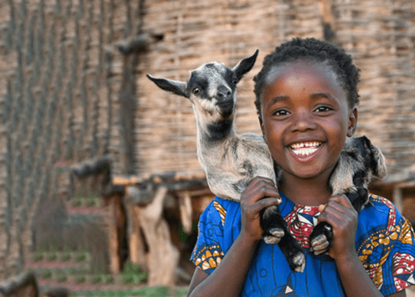 Charitable Giving: World Vision | GoodSuite